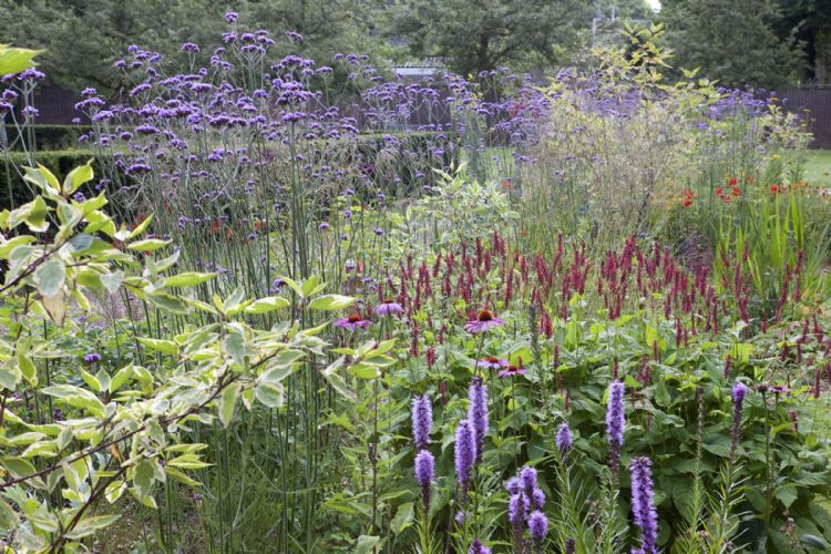 Nationale Tuinweek: ‘De Levende Tuin’ 8-16 juni