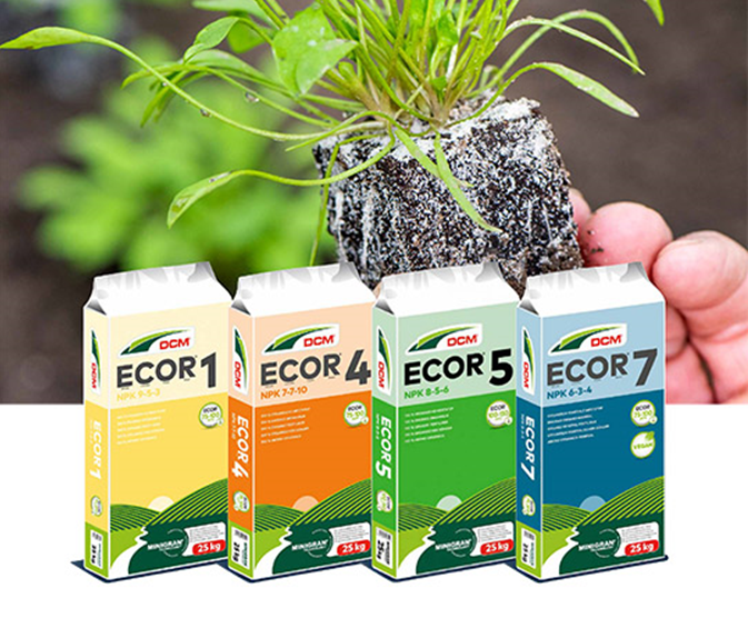 DCM ECO wordt DCM ECOR