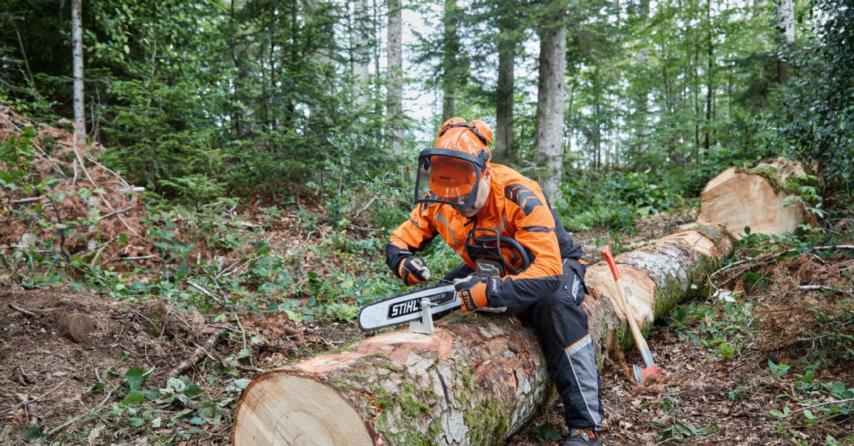 Nieuw slijpsysteem Stihl, scherper, krachtiger en langer doorzagen