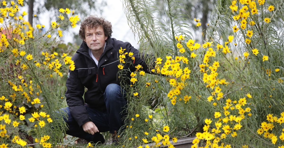 De Stelling: Is de kennis van de gemiddelde Nederlandse hovenier breed ...