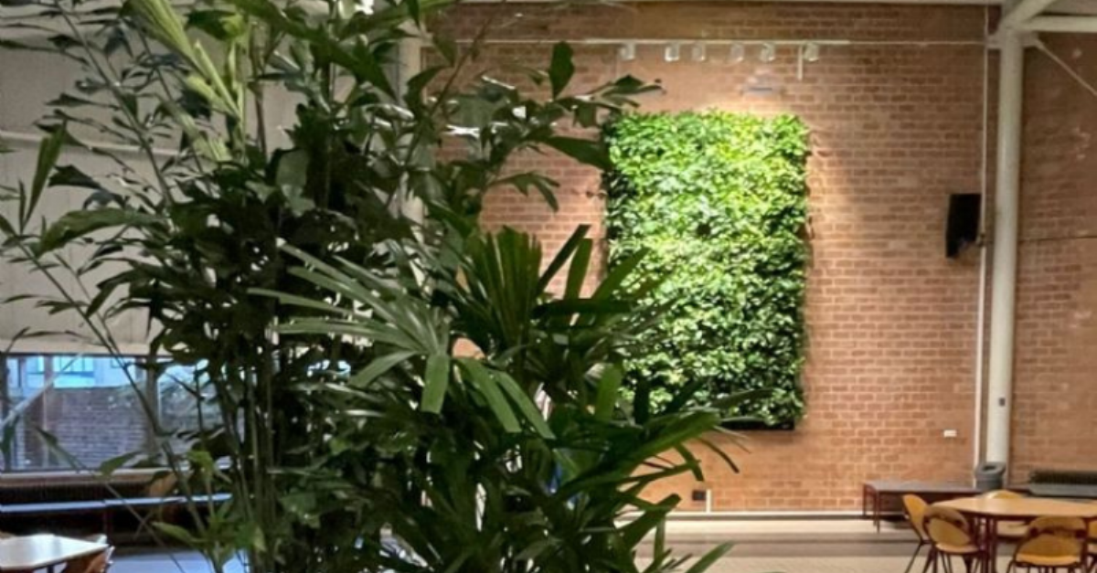 Yuverta Houten werkt aan een groener en gezonder binnenklimaat